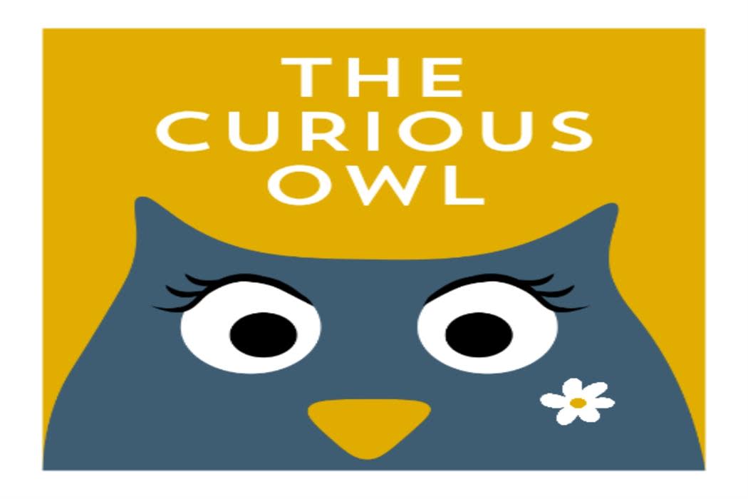 The Curious Owl