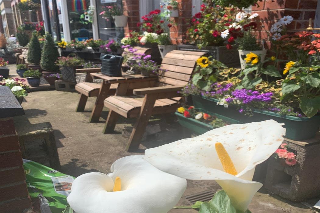 The George Guest House