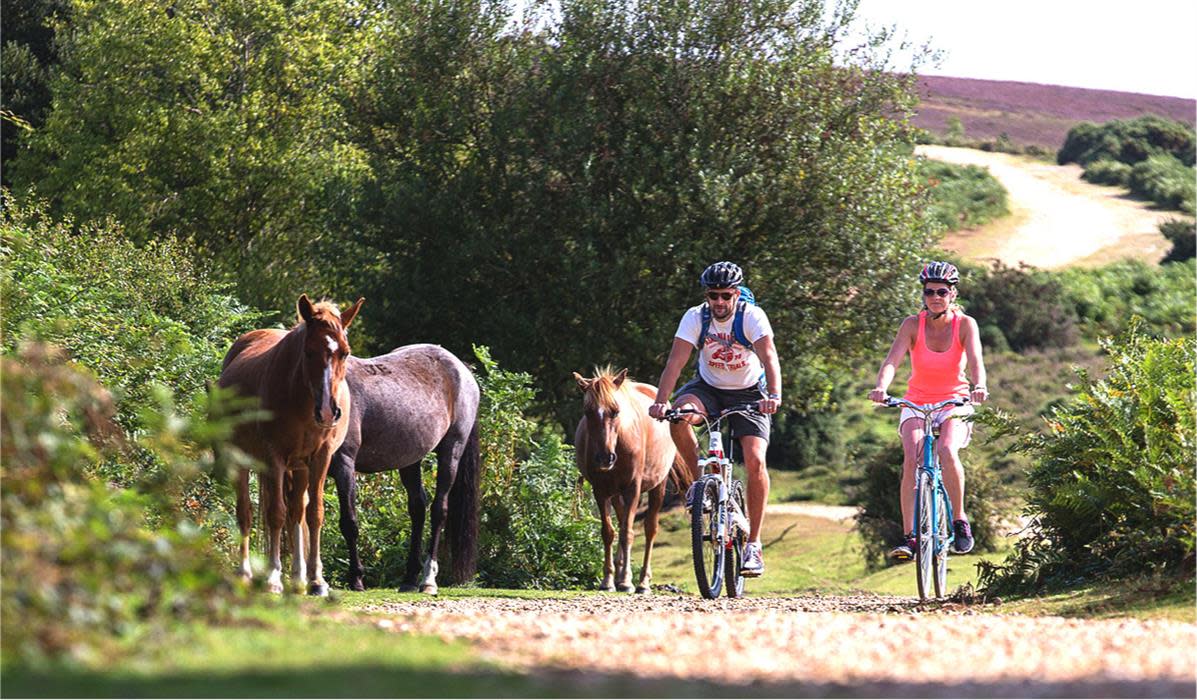 Cyclexperience Bike Hire - Visit the New Forest