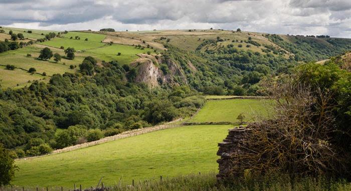 Weag's Barn Nature Reserve