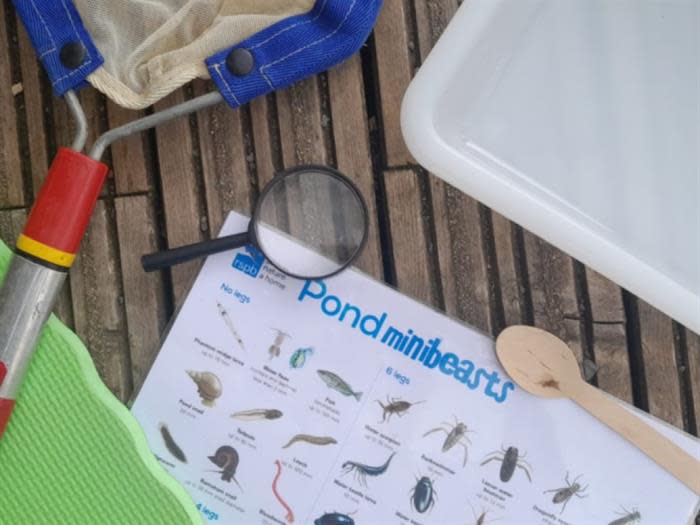 Pond Creatures Day at RSPB Middleton Lakes