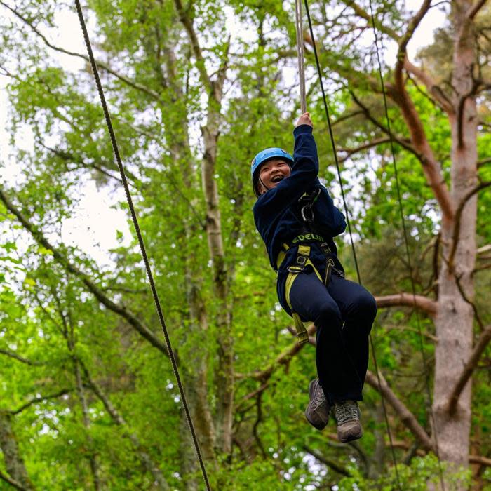 Go Adventure Activities - Visit the New Forest