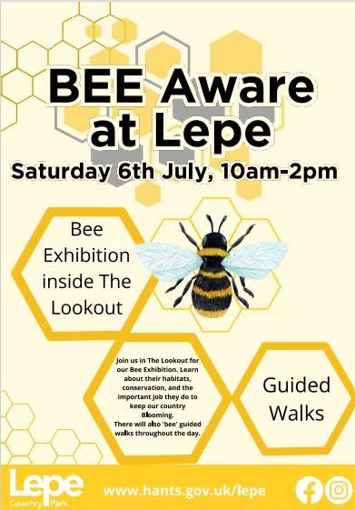 Guided Bee Walk - Visit the New Forest