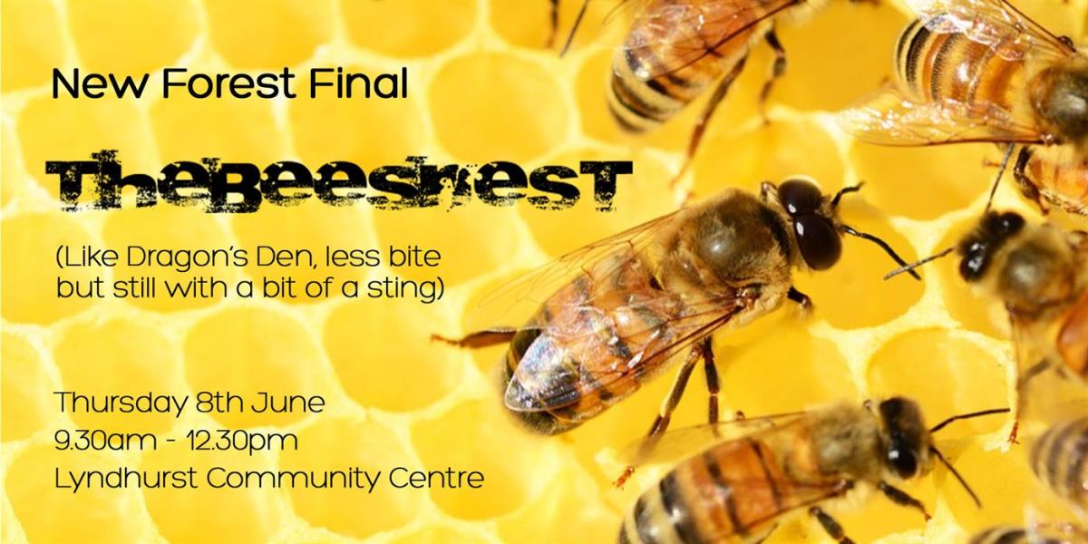 The New Forest Bees Nest Pitching Competition - Visit the New Forest