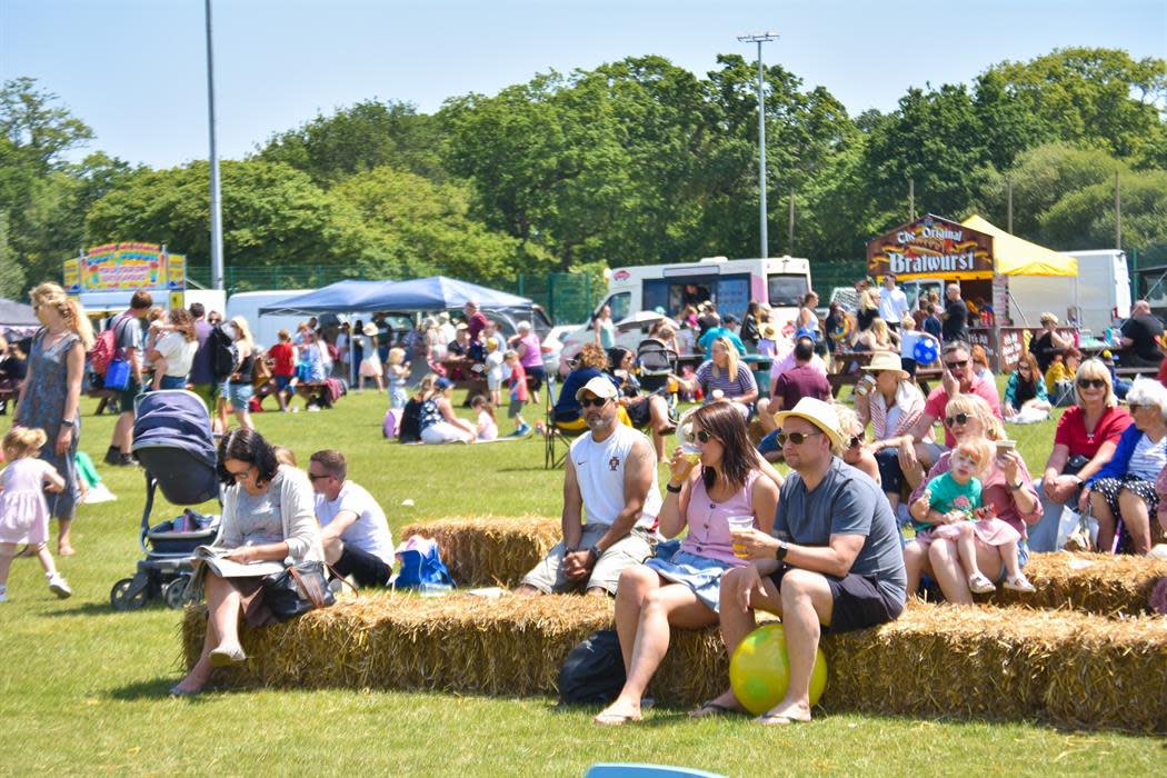 BrockFest 2024 - Visit the New Forest