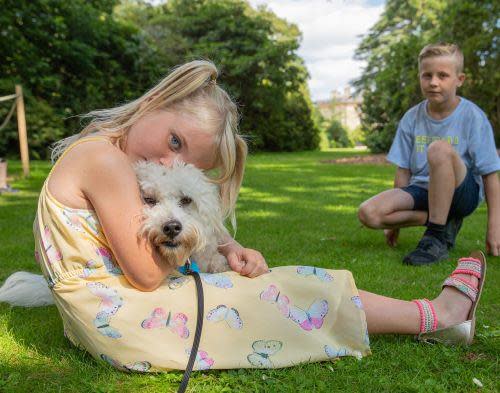 Devoted to Dogs Days - Visit the New Forest