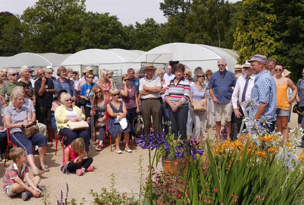Fairweathers Nursery Tours - Visit the New Forest