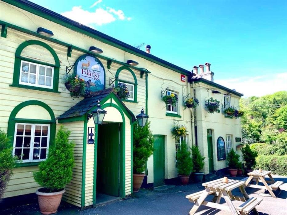 NFI Charity Quiz Night! - Visit the New Forest