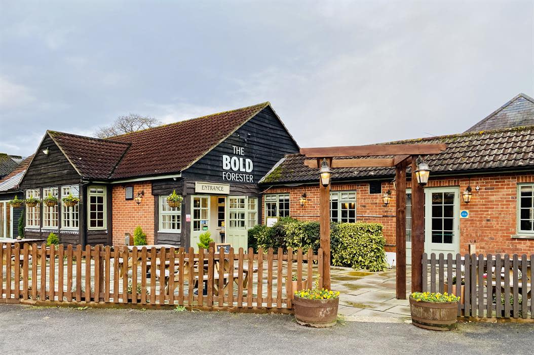 The Bold Forester - Visit the New Forest