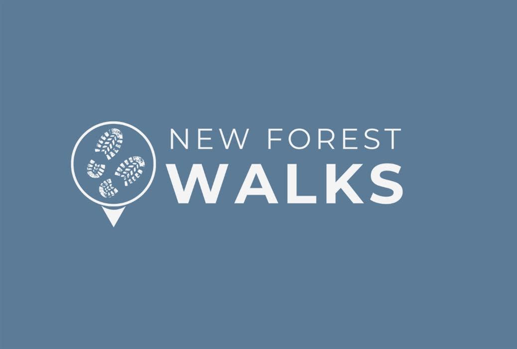 New Forest Walks - Visit the New Forest