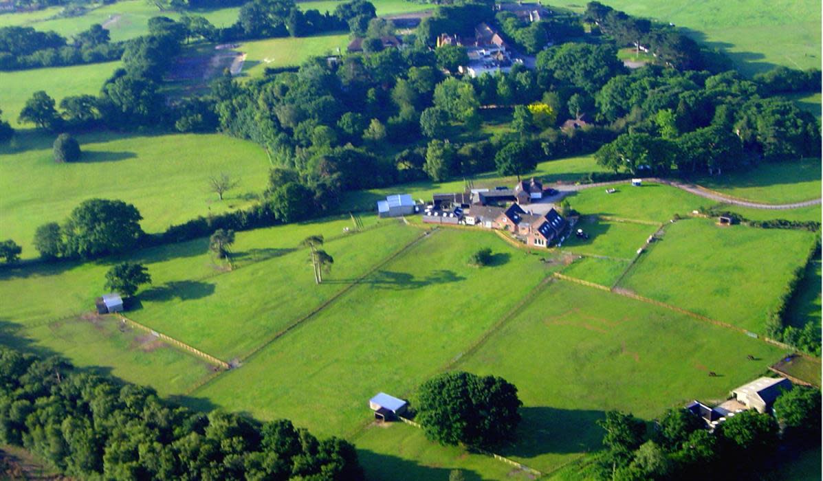 Hackney Park - Visit the New Forest