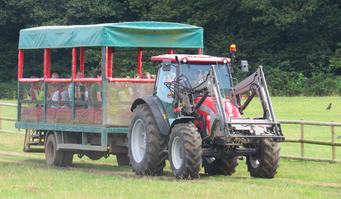 Longdown Activity Farm - Visit the New Forest