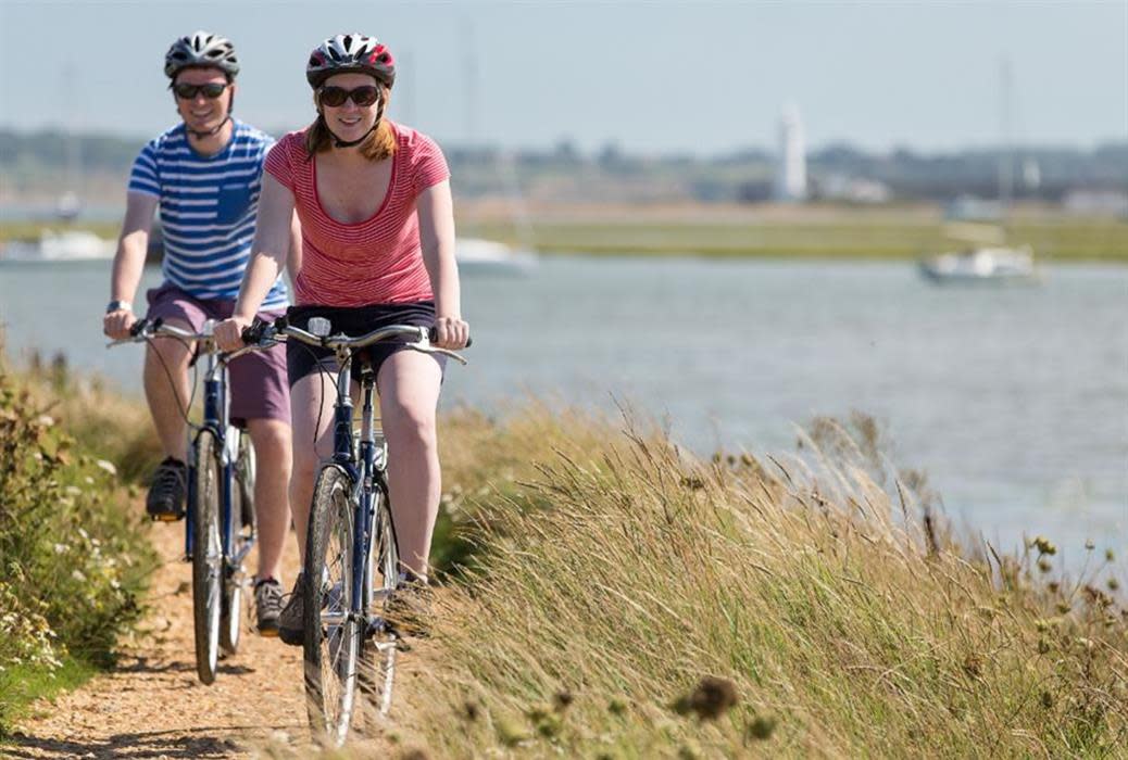 Adult Cycle Hire - New Forest Activities - Visit the New Forest