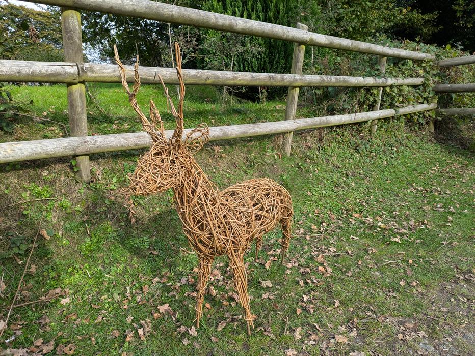 Create a willow deer, reindeer or even a llama - Visit the New Forest
