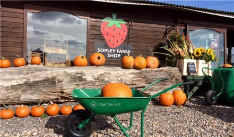Sopley Farm Shop & Pick Your Own - Visit the New Forest