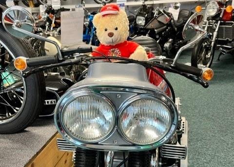 Teddy Bears and their friends play Hide and Seek! - Visit the New Forest