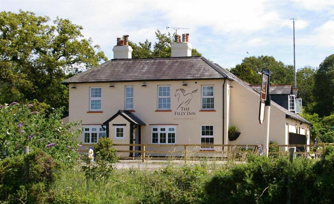 The Filly - Visit the New Forest