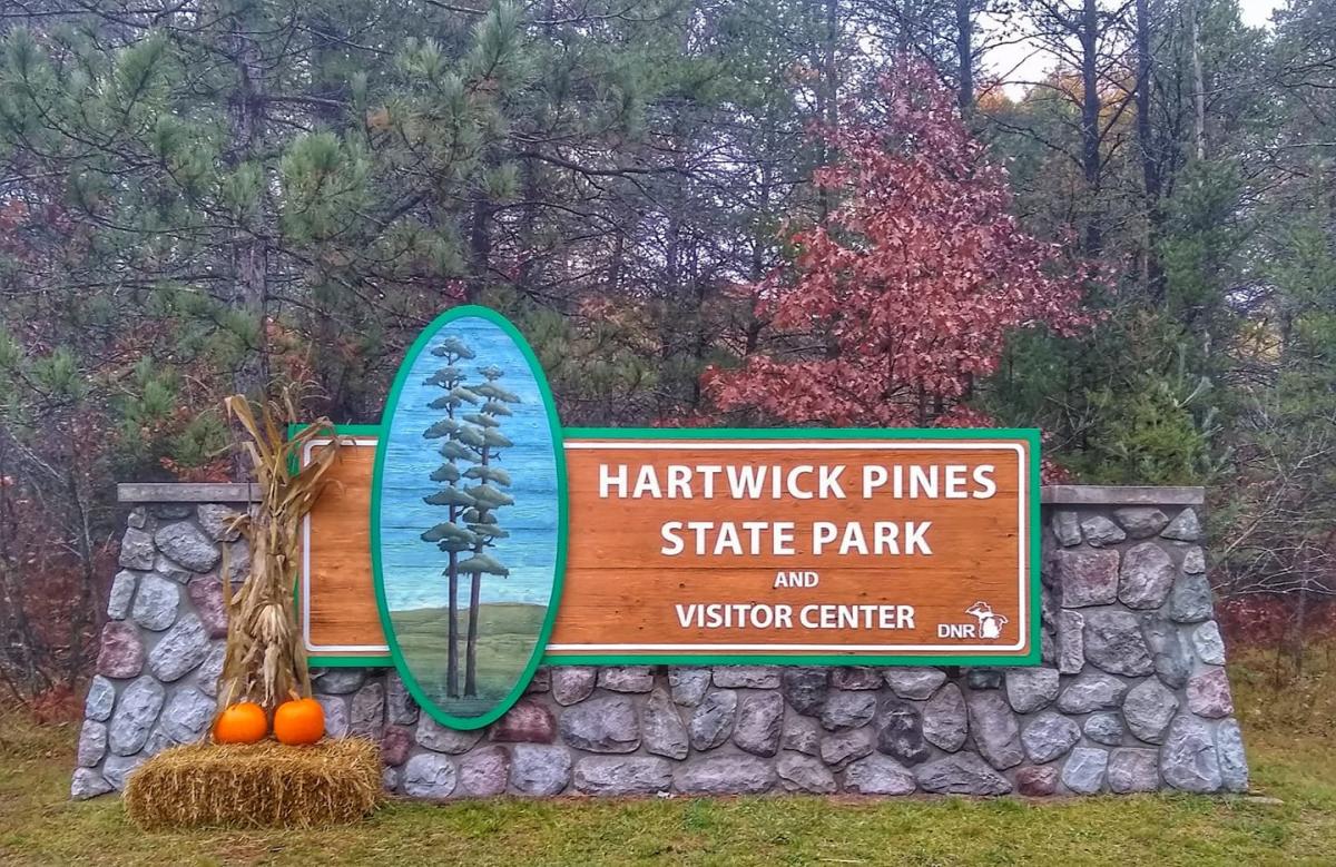 Hartwick Pines State Park, Visitors Center & Logging Museum