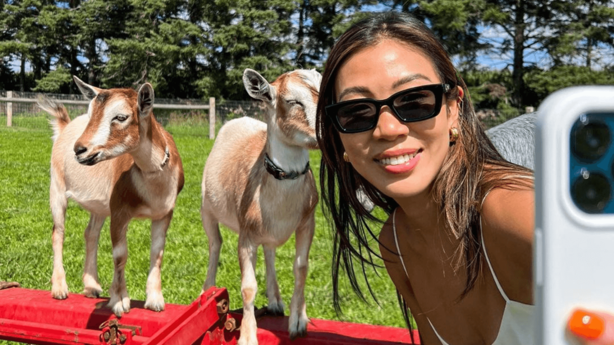 Goat Recess at Udderly Ridiculous Farm Life