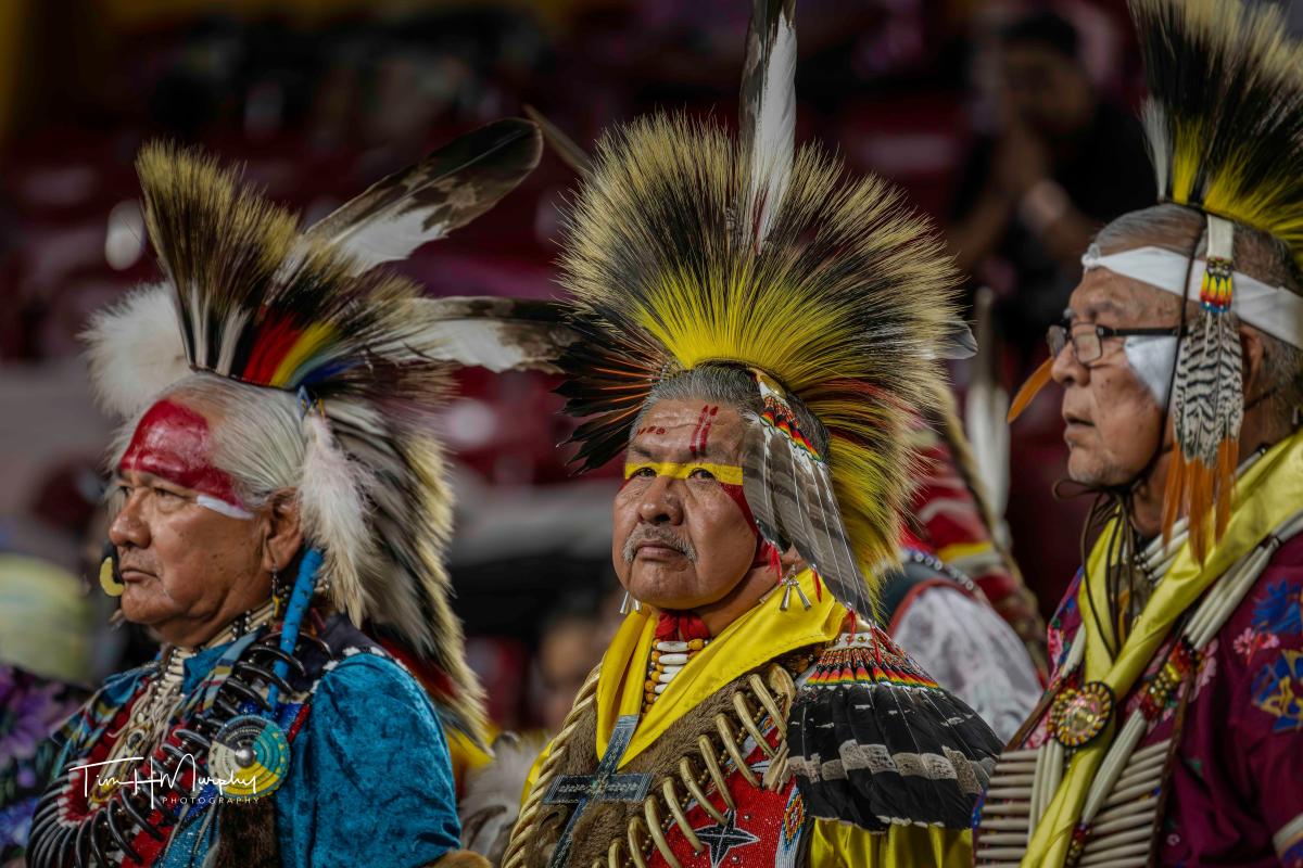 Asu Pow Wow - One Day Pass - Tempe AZ, 85287