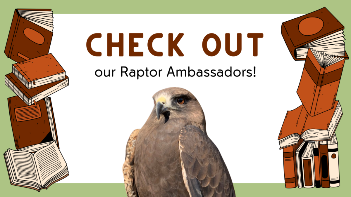 Raptors at the Hunter Library | Classes & Workshops event in Salt Lake ...
