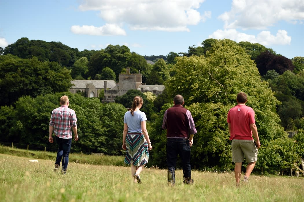 Wildflower Wonder at Buckland Abbey - Visit Devon