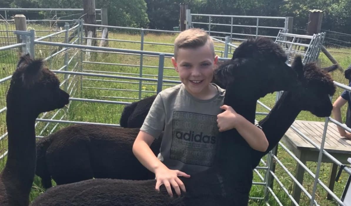 Alpaca Experience at Wolfridge Alpaca