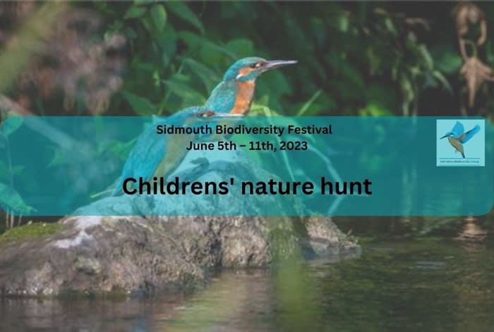 Alma Field Nature Hunt | Sidmouth Biodiversity Festival - Visit Devon