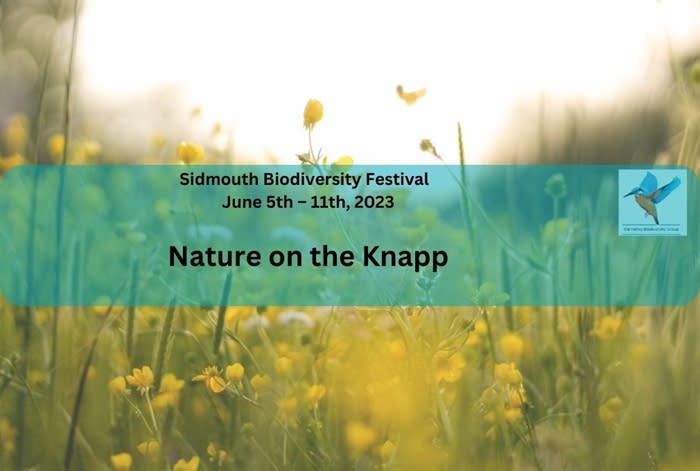 Nature on the Knapp | Sidmouth Biodiversity Festival - Visit Devon