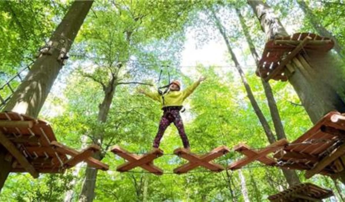 Adventure Bristol - Tree Tops High Ropes