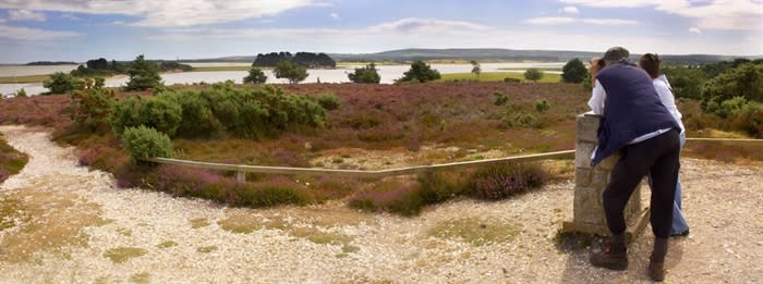 RSPB Arne Nature Reserve