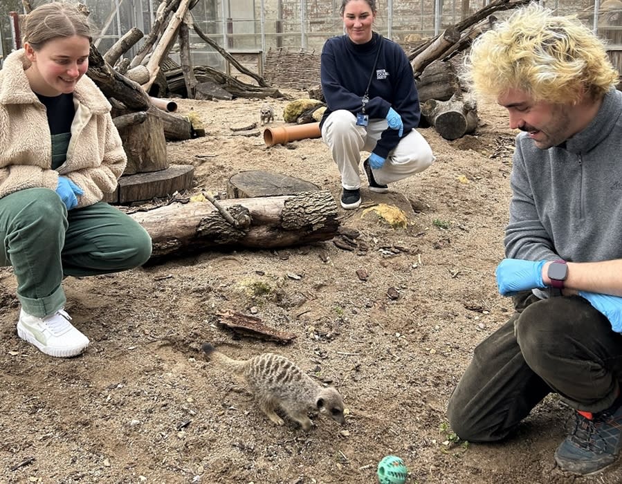 Animal Experiences at Bristol Zoo Project