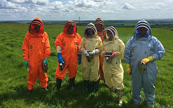 Beekeeping Experience Days - Visit Devon