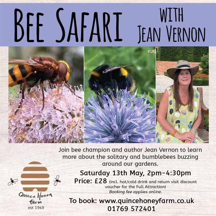 Bee Safari - Visit Devon
