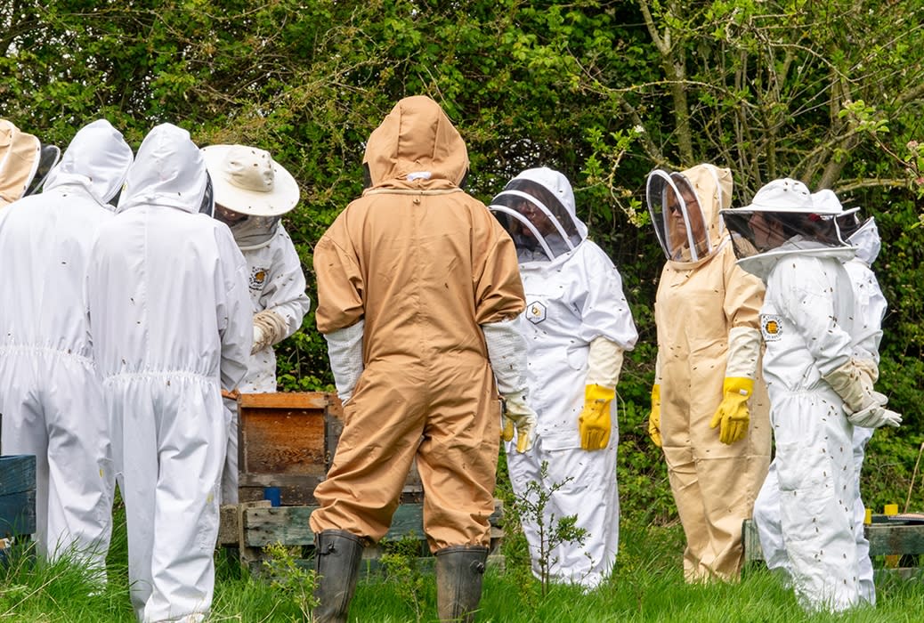 Beekeeping for Beginners course - Cotswolds