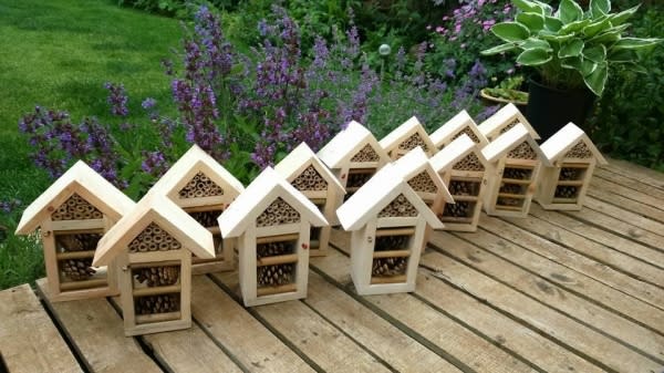Build-a-Bug-House - Cotswolds
