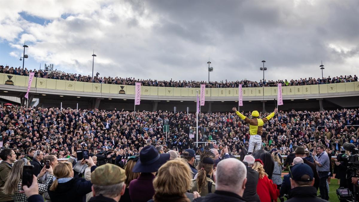 The Cheltenham Festival - Cotswolds