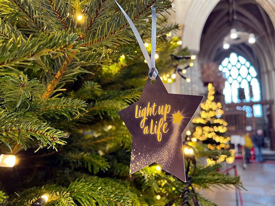 Hospiscare's Light Up A Life At Exeter Cathedral - Visit Devon