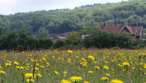 Clapton Moor Nature Reserve