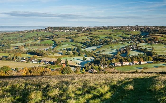 Cranborne Walk - Food and Drink - Visit Dorset