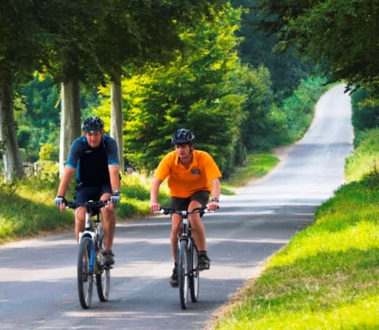 Witchampton Cycle Route - Visit Dorset