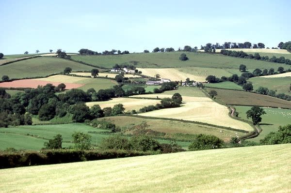 The Exe Valley Way