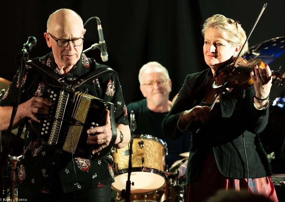 Feast of Fiddles 31st Tour comes to The Beehive Honiton - Visit Devon