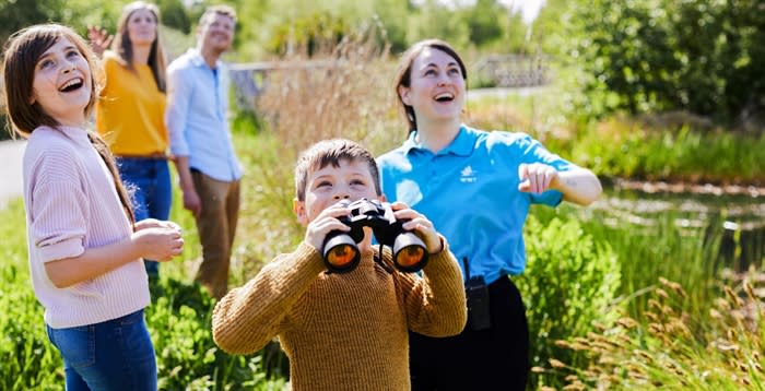 Summer Code Breakers - Cotswolds