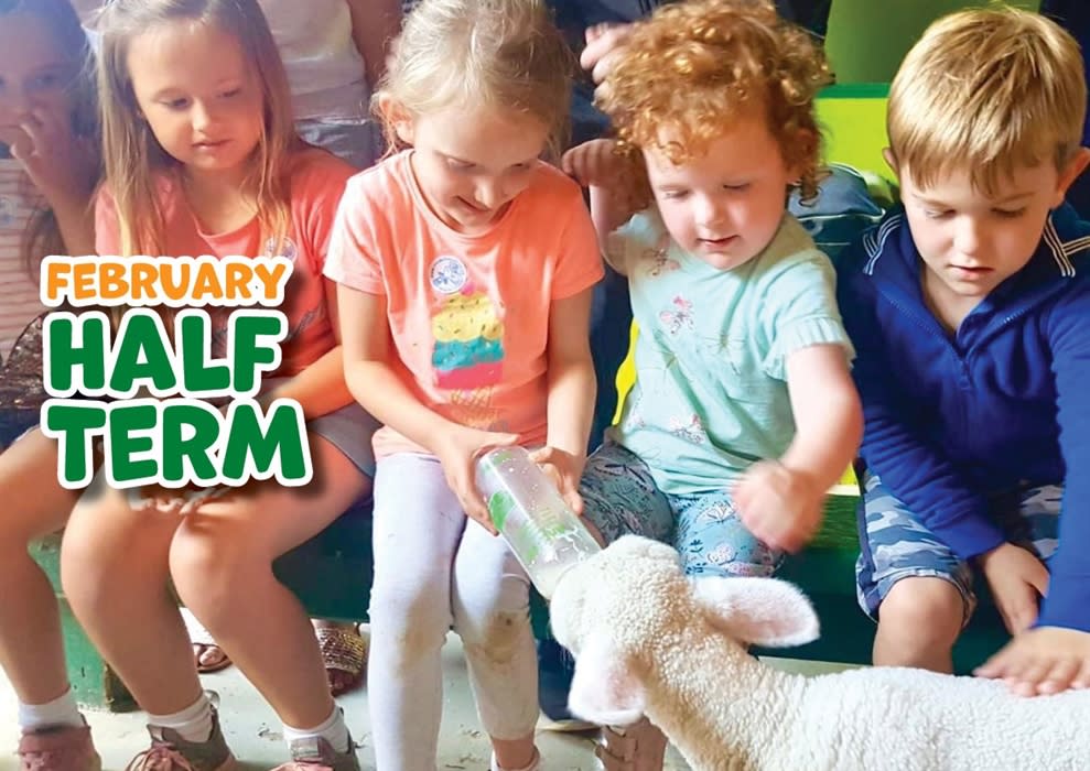 February Half Term Fun - Visit Devon