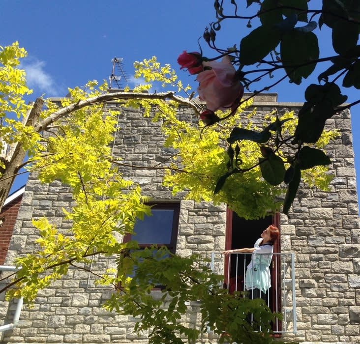 6 Arcade Terrace - Visit Dorset