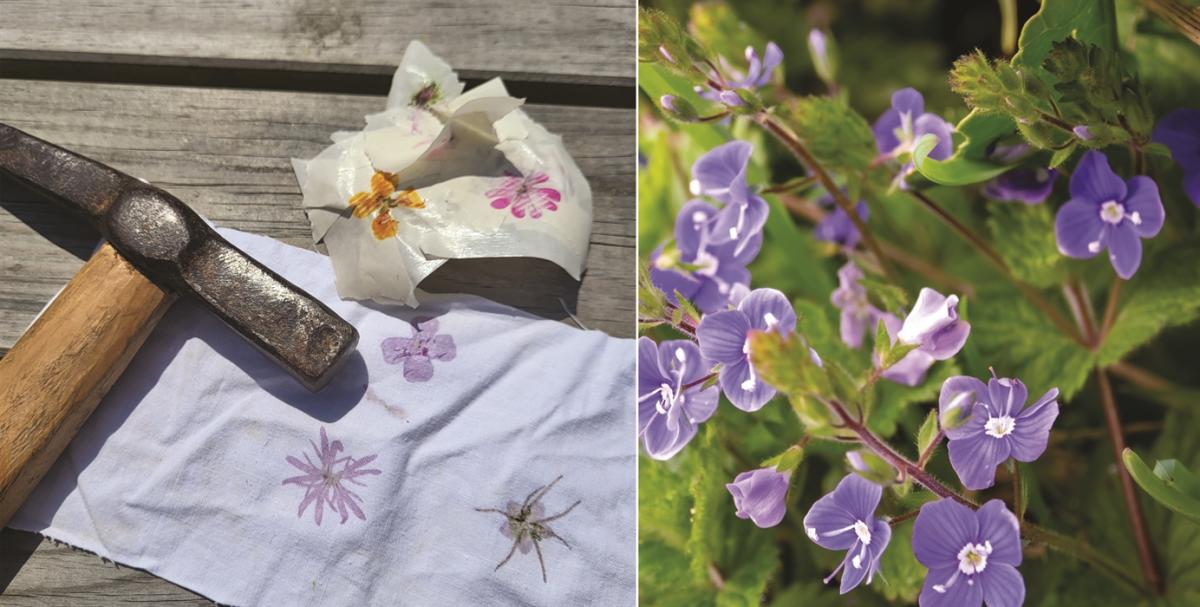 Flower Printing Workshop - Visit Devon