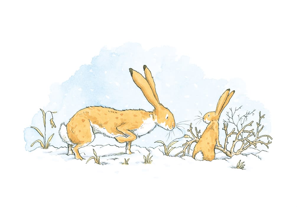 Guess How Much I Love You™ Trail - Visit Devon