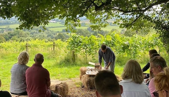Wine & Cheese Tasting in the Cheddar Valley