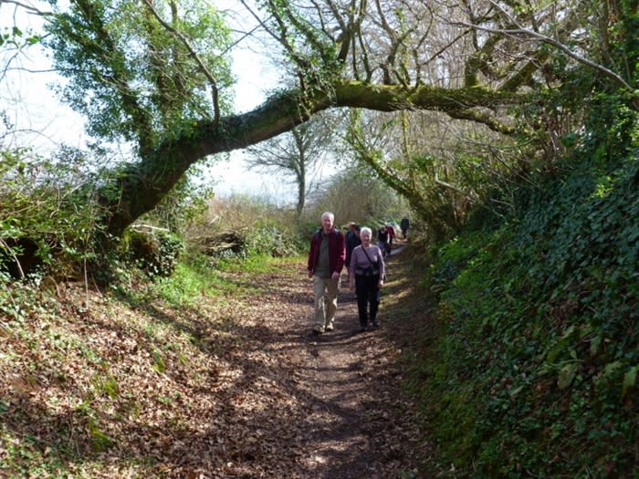 Exeter Green Circle Walk
